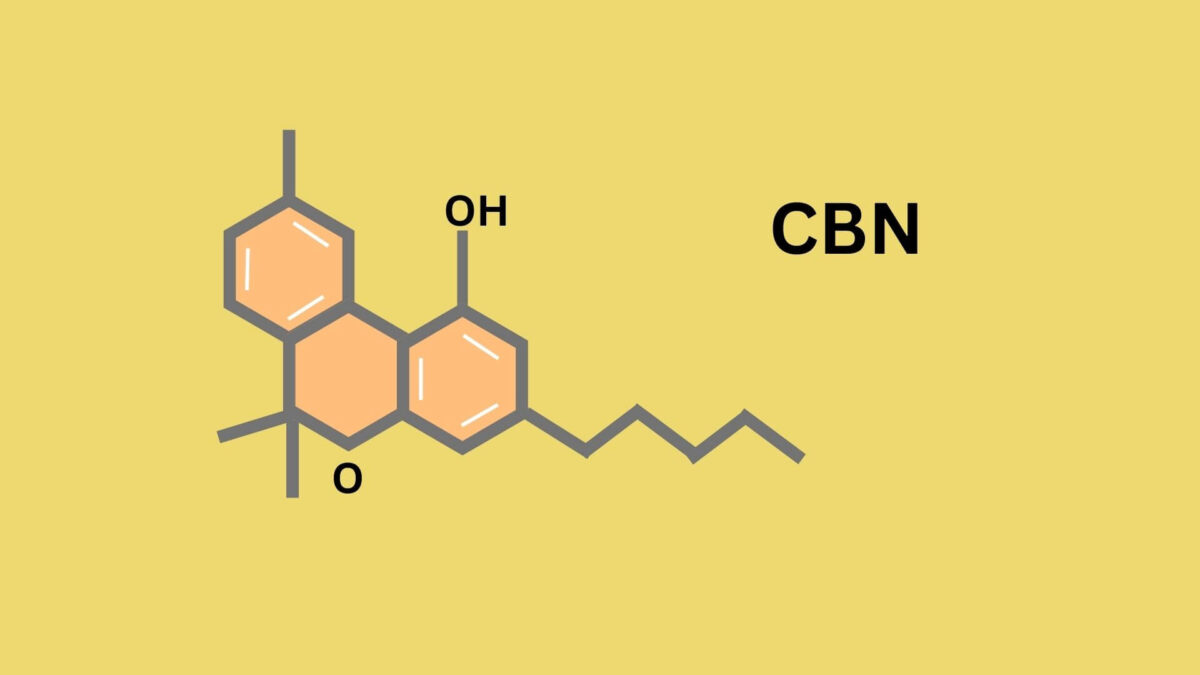 Understanding Key Aspects: What Is CBN? – Direct Delta 8 Shop